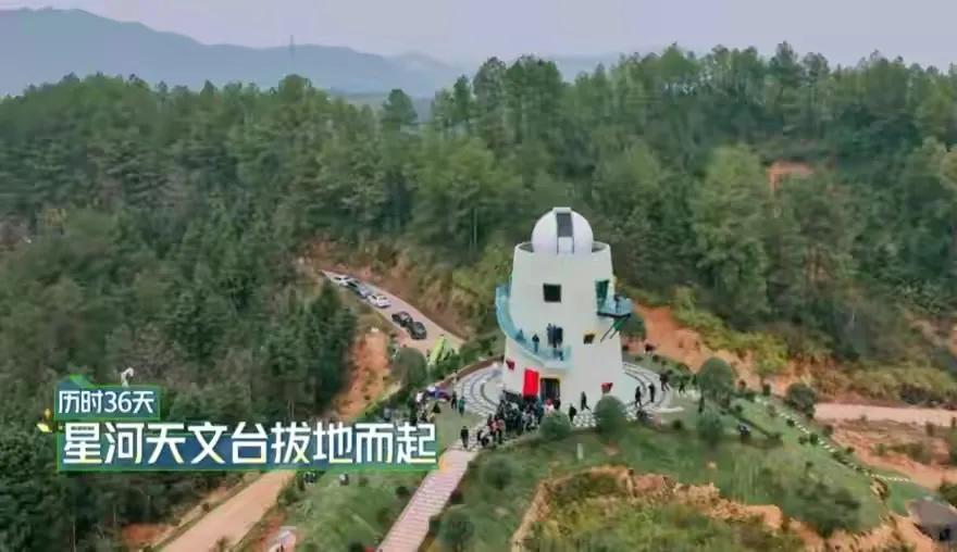 From neat suits, shiny hair to unshaven beard, Wang Han has a new show ...