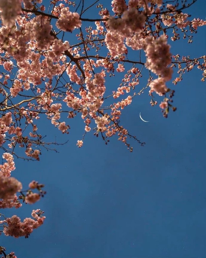 Should people sleep in separate beds in their old age? 4 reasons why ...