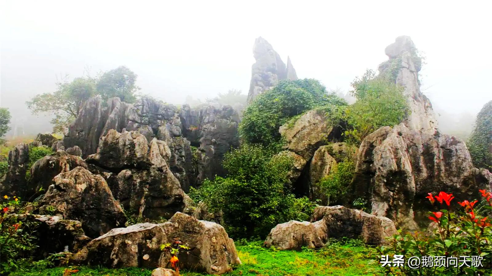 The strange stone forest in Leping, the five monsters are anecdotes ...