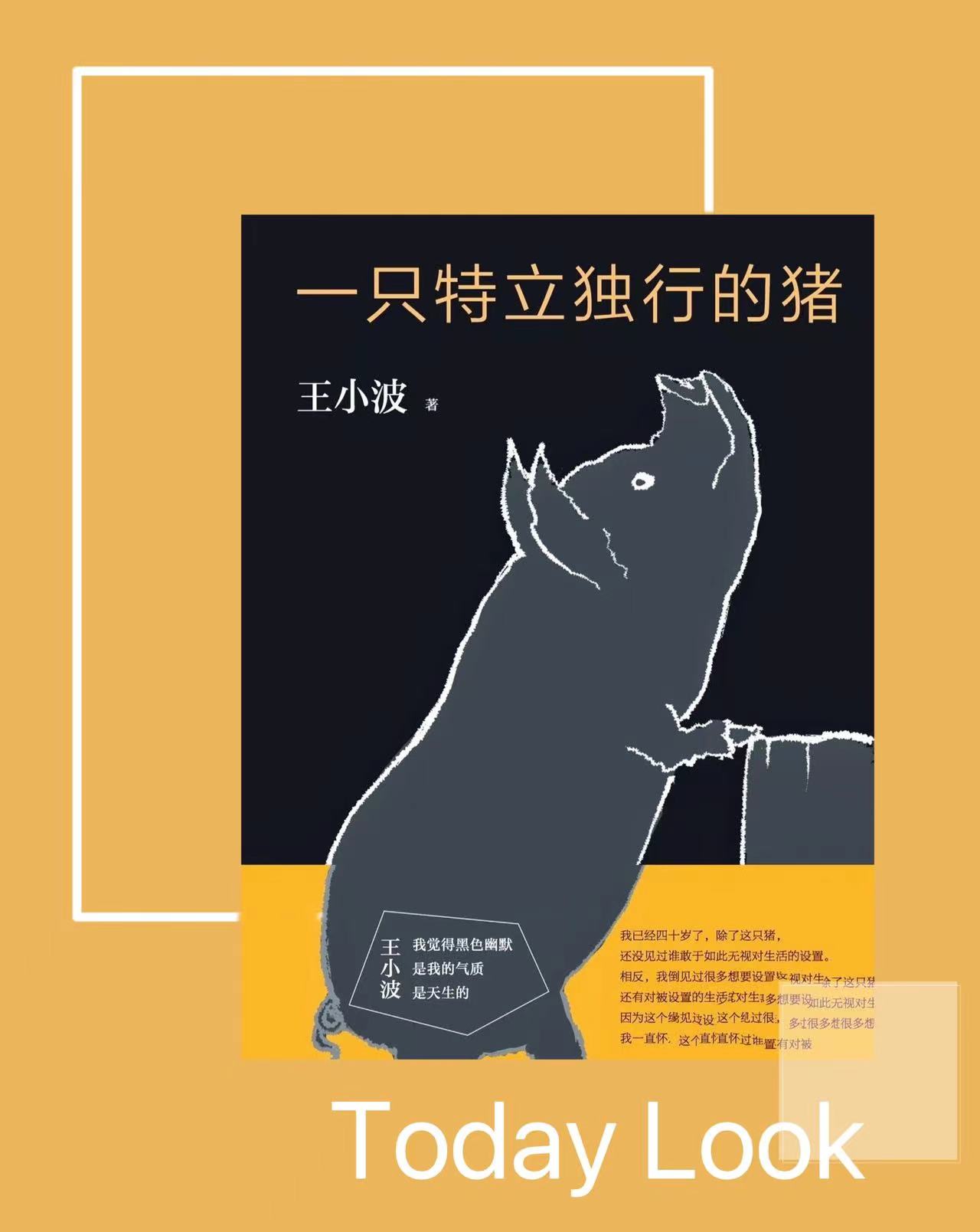 Be a maverick "pig" and have your own world of ideas - iNEWS