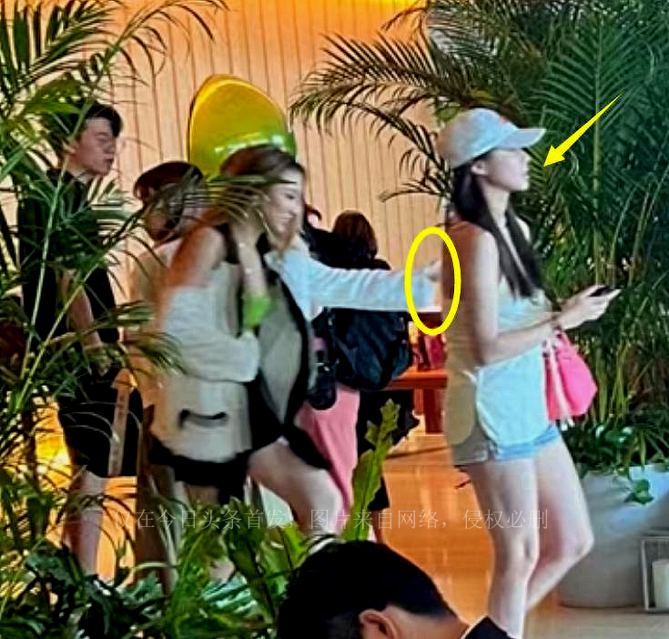 He Youjun and He Chaoxin traveled to Japan, accompanied by He Chaoxin's beautiful bestie, and ...