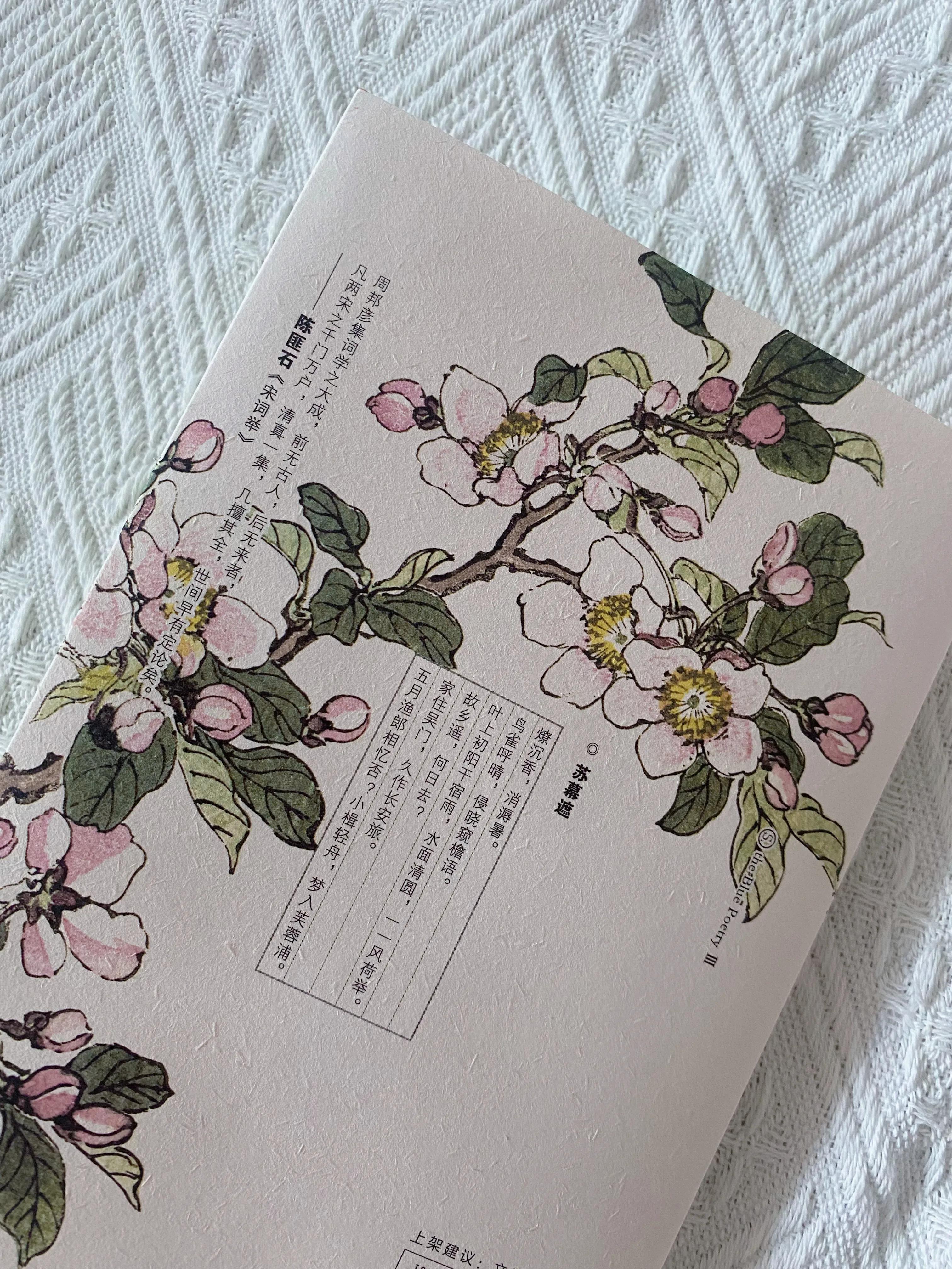 Beautiful Books, Beautiful Song Poems - iNEWS