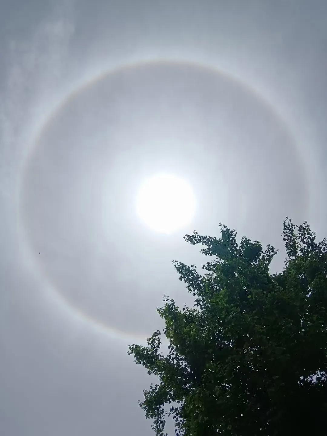 Strange solar halos appear in the sky of Wuhan, and the door of time ...