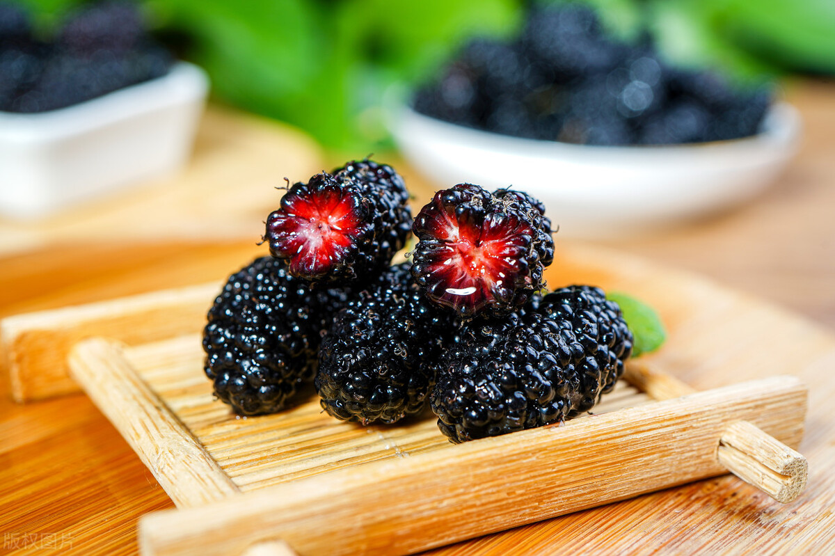 What are the fruits that ripen in spring? - iNEWS