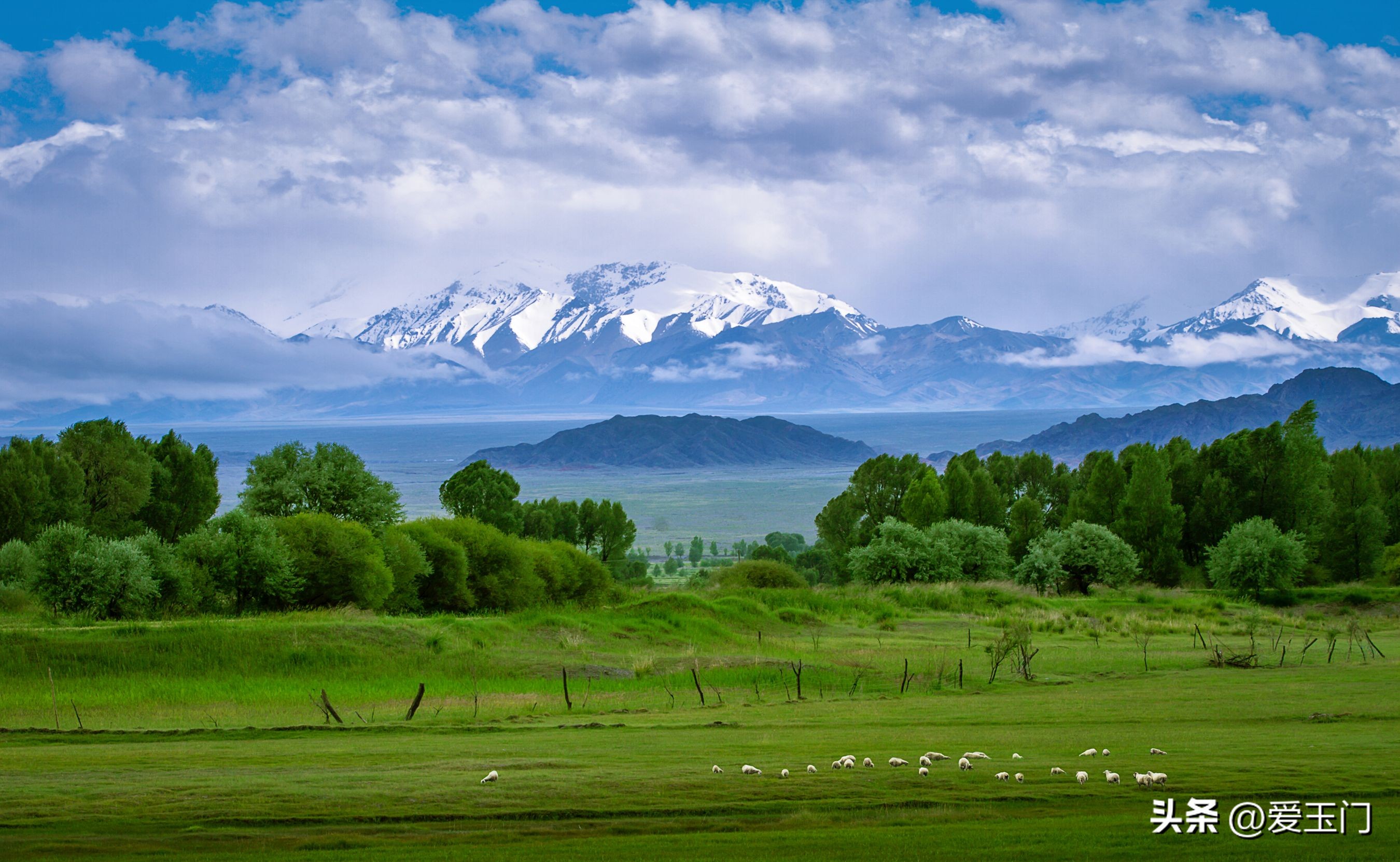 The movie "Running From Home" was filmed in Yumen City - iNEWS