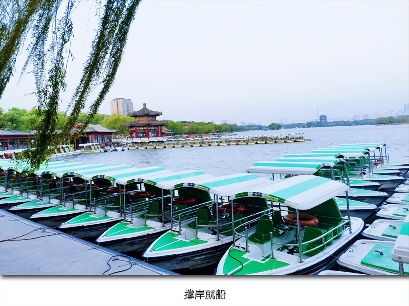 Do you still remember the beauty of Daming Lake? - iNEWS