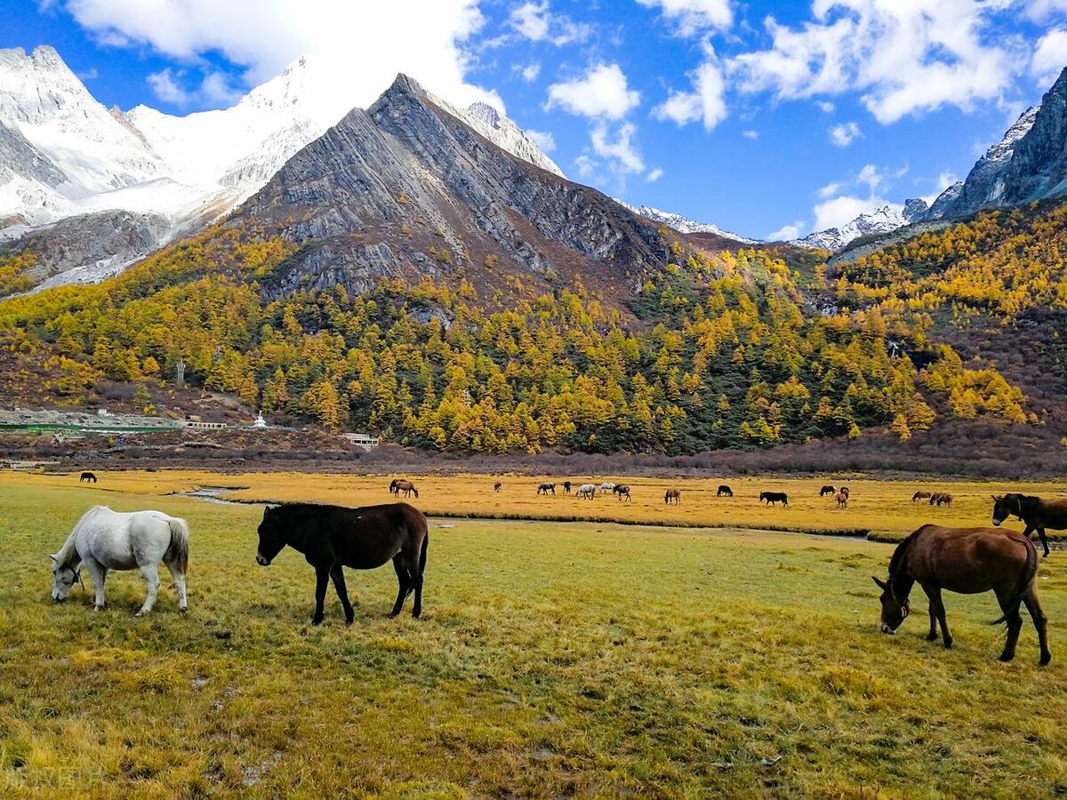 The land of sounds of nature, paradise, explore the most beautiful 12 ...