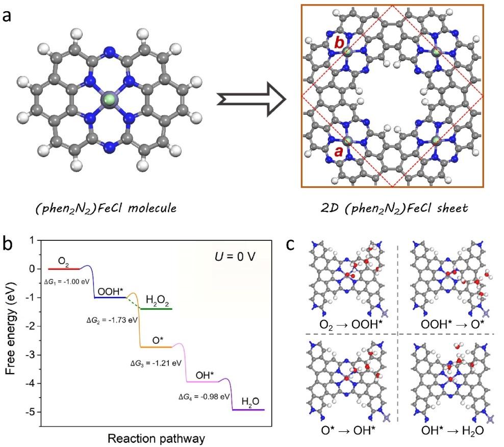 A two-dimensional organometallic bifunctional catalyst with a pyridine ...