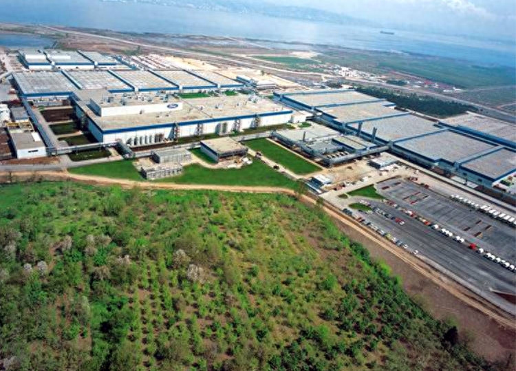 BLRI European pine board, is there any better board choice? - iMedia