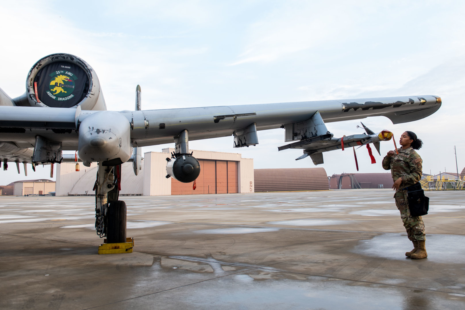 Inspecting the AIM-9L/M on the A-10C Thunderbolt II during the Arms ...