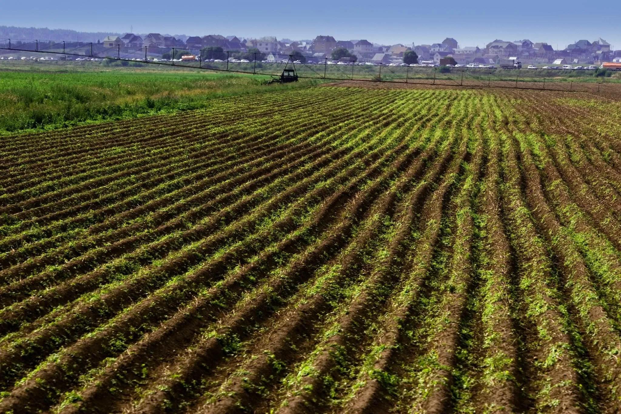 The Stolypin Reforms, the last revival of the Russian Empire - iNEWS