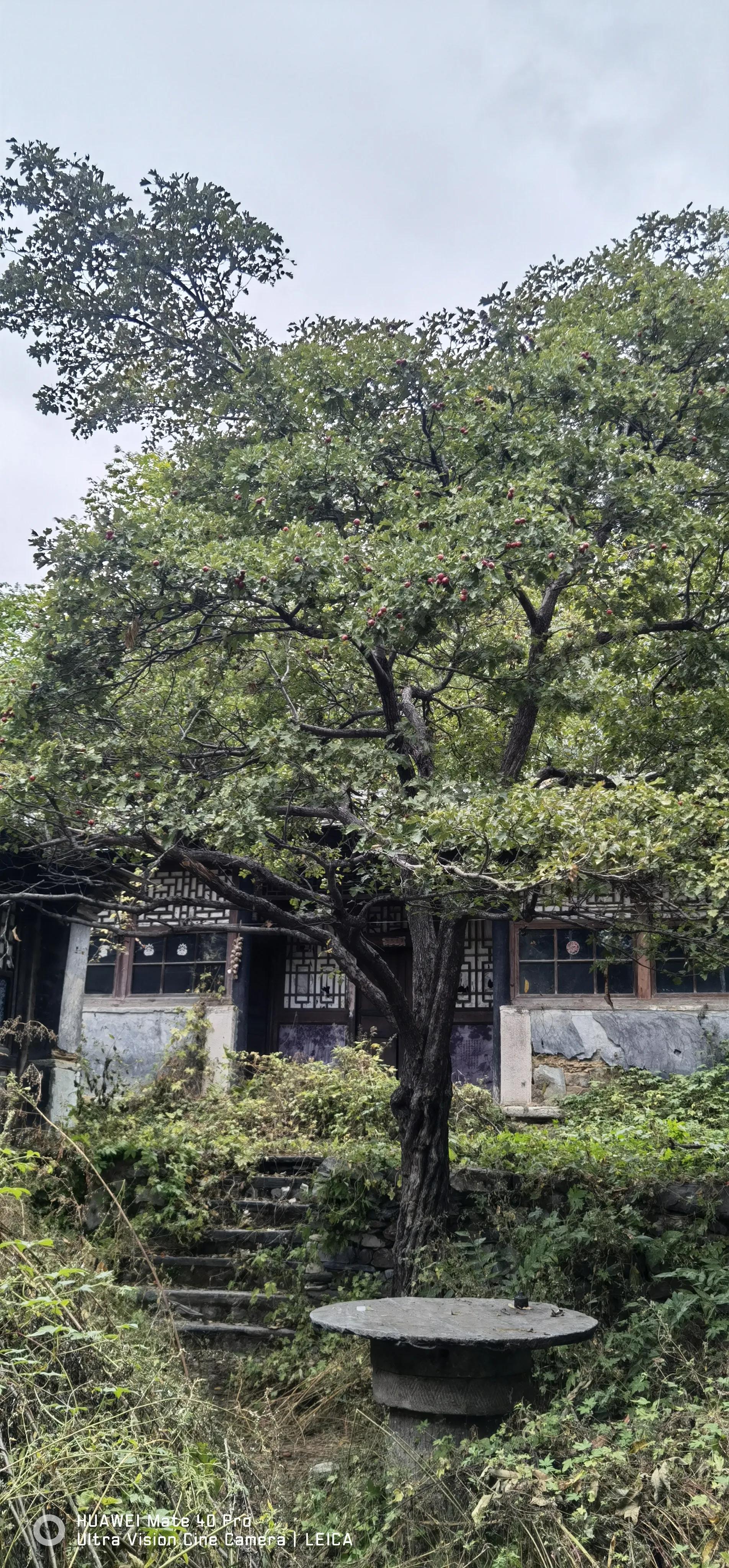 Shuiyu Village, Fangshan District, Beijing - iNEWS