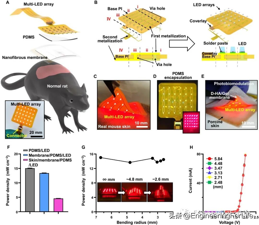 Adhesive nanofiber membrane equipped with wearable LED patch for wound ...