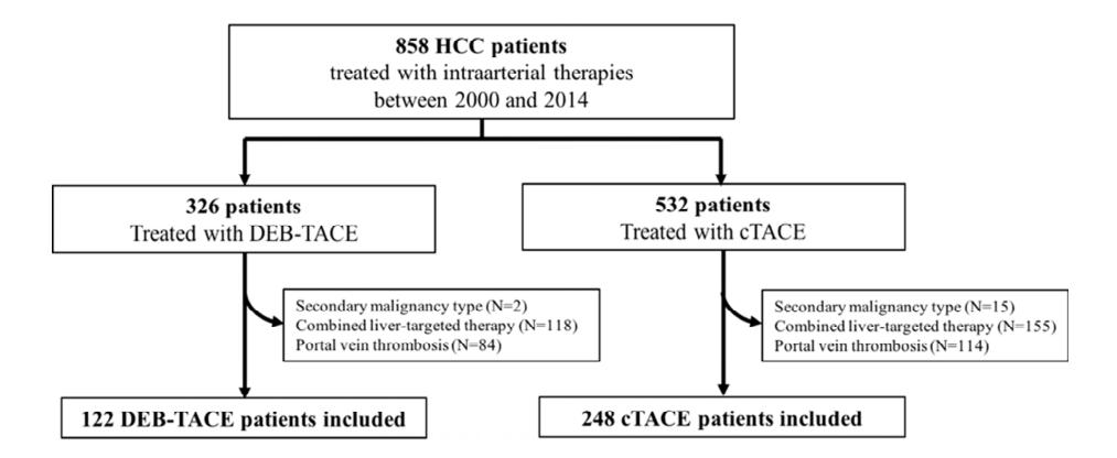 Interventional Literature No. 24—Conventional and drug-loaded ...