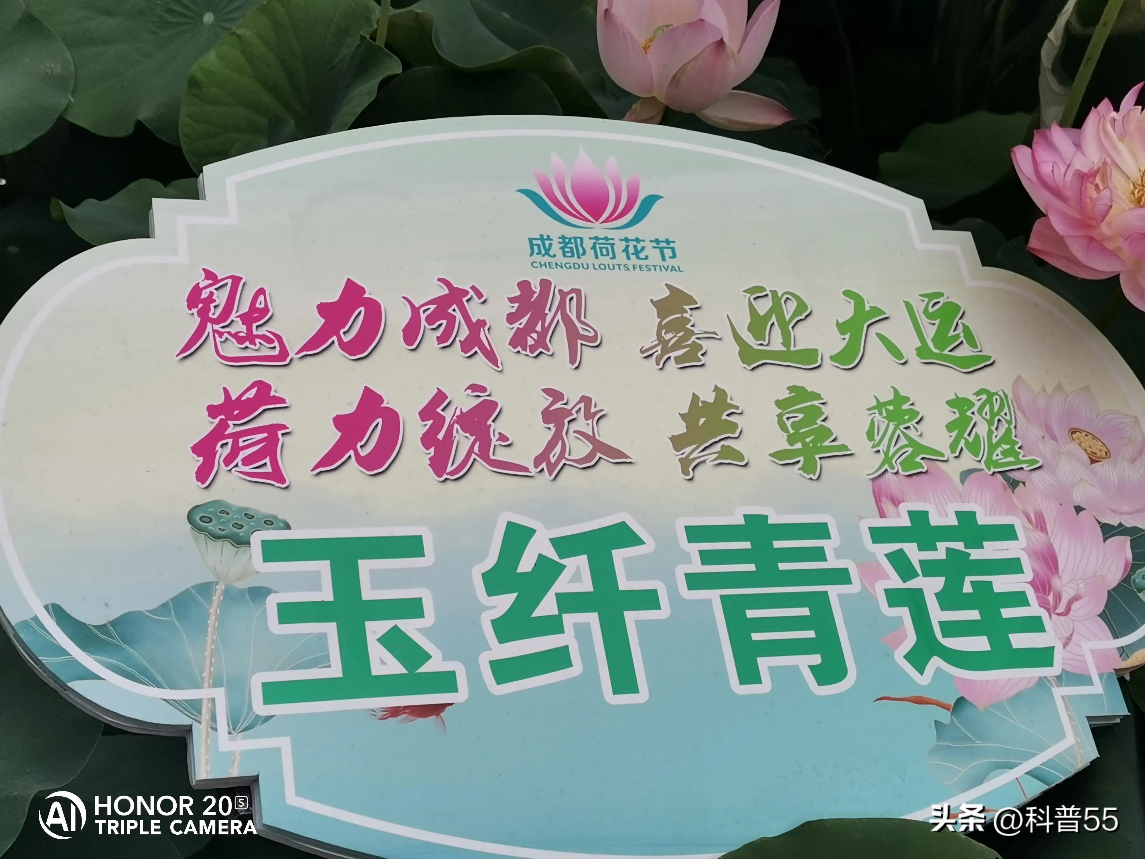 Blooming power and sharing Rongyao - iNEWS