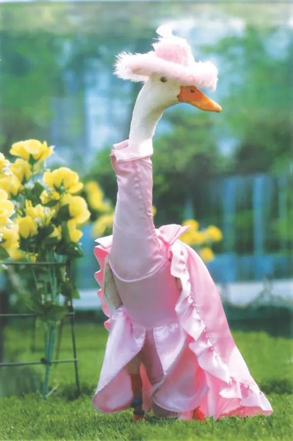 The annual duck fashion show in Sydney, Australia - iNEWS