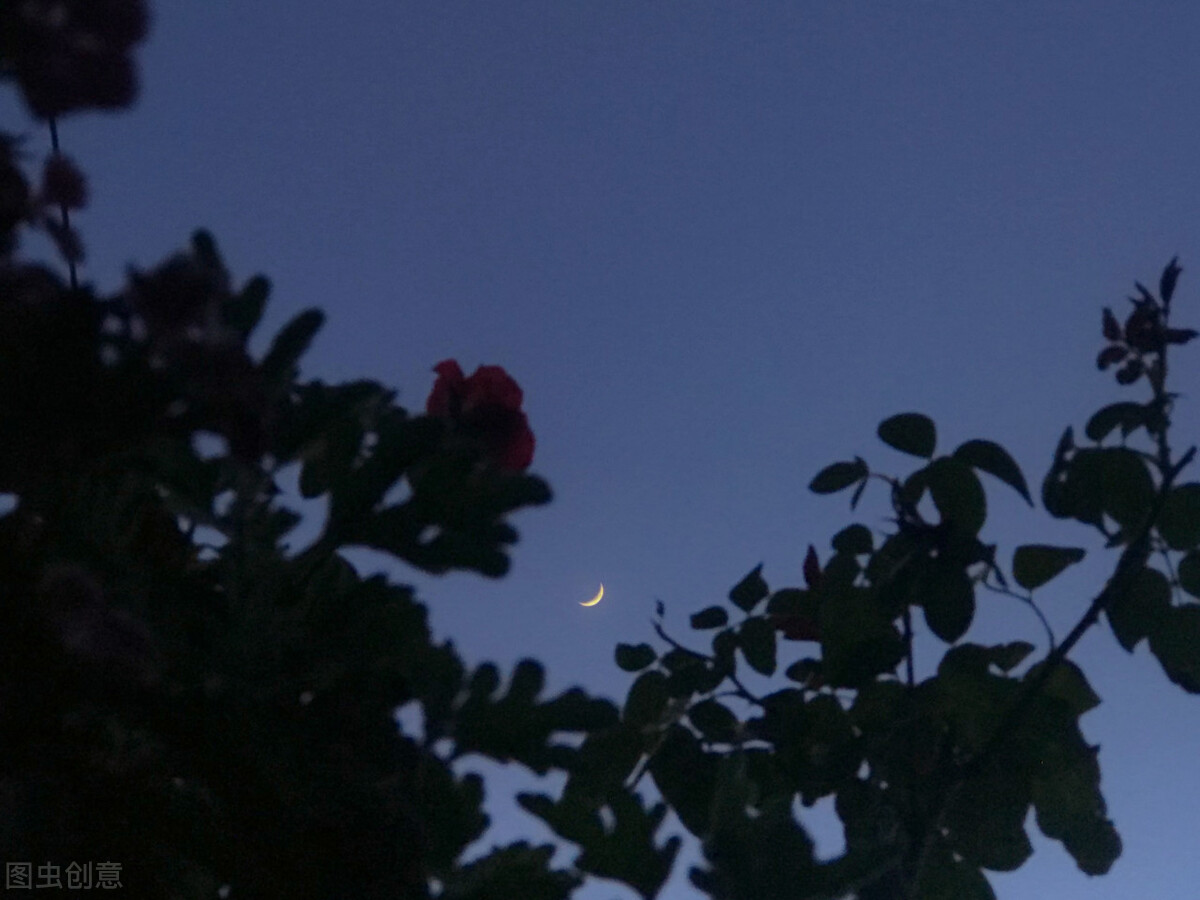 The most classic six sentences of "The Moon and Sixpence", the essence ...