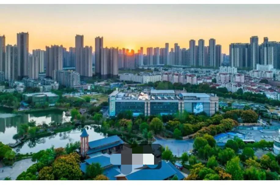 Happy! The 63-year-old Wuhan "Gao Qiqiang" Huang Dafa fell! Once a good ...