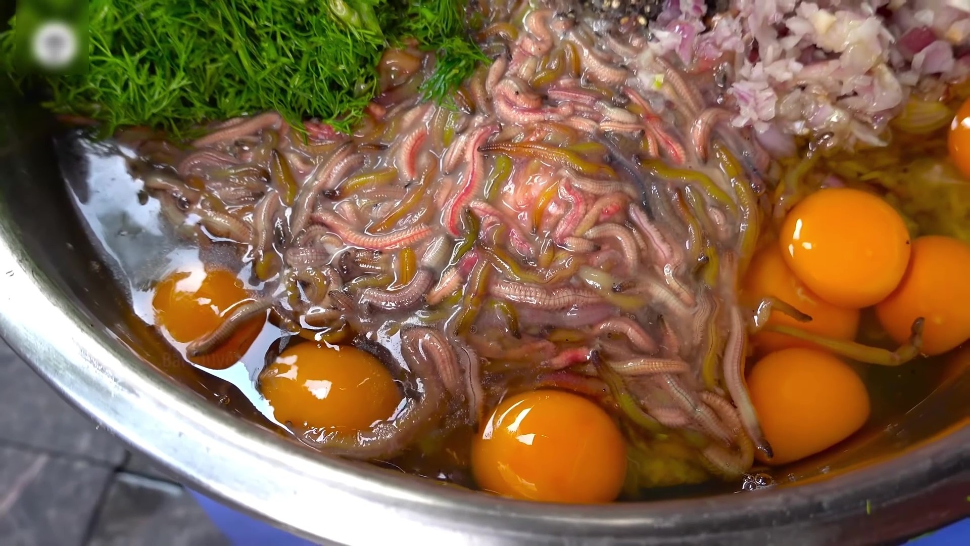 High energy ahead, Vietnamese sandworm pancakes, intensive phobias, and ...