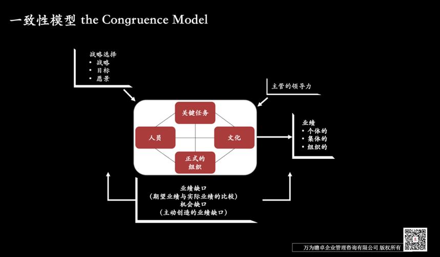 Where did the BLM model come from? - iMedia