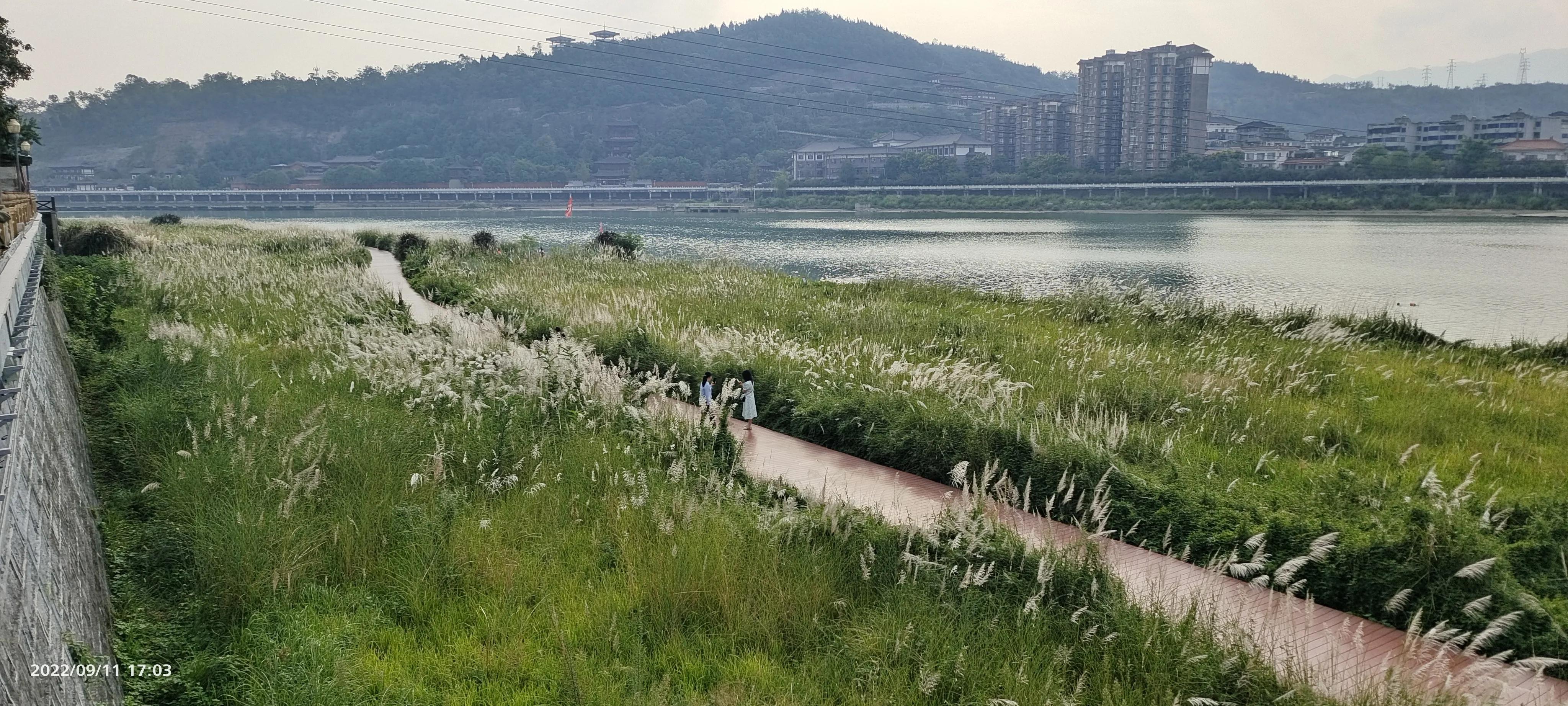 Wander around, walk around the bay - iNEWS