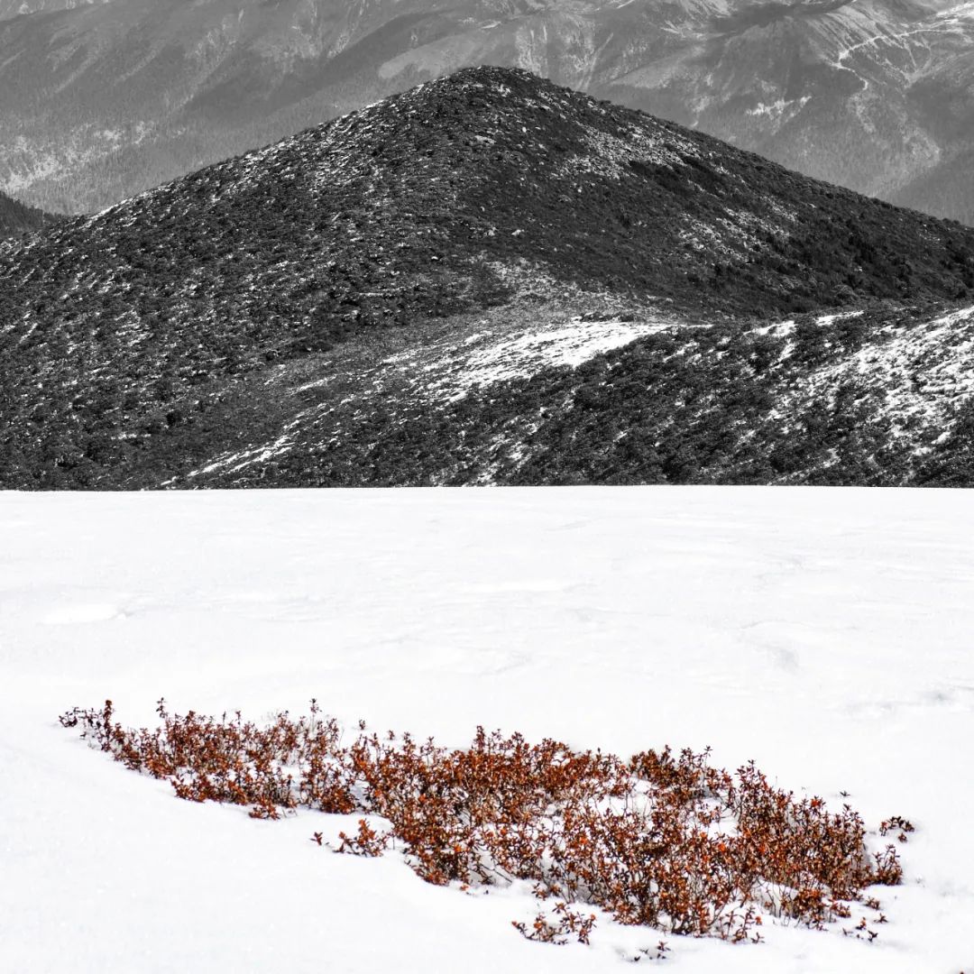 The trip to Sichuan and Tibet, the south of the east of Tibet, the ...