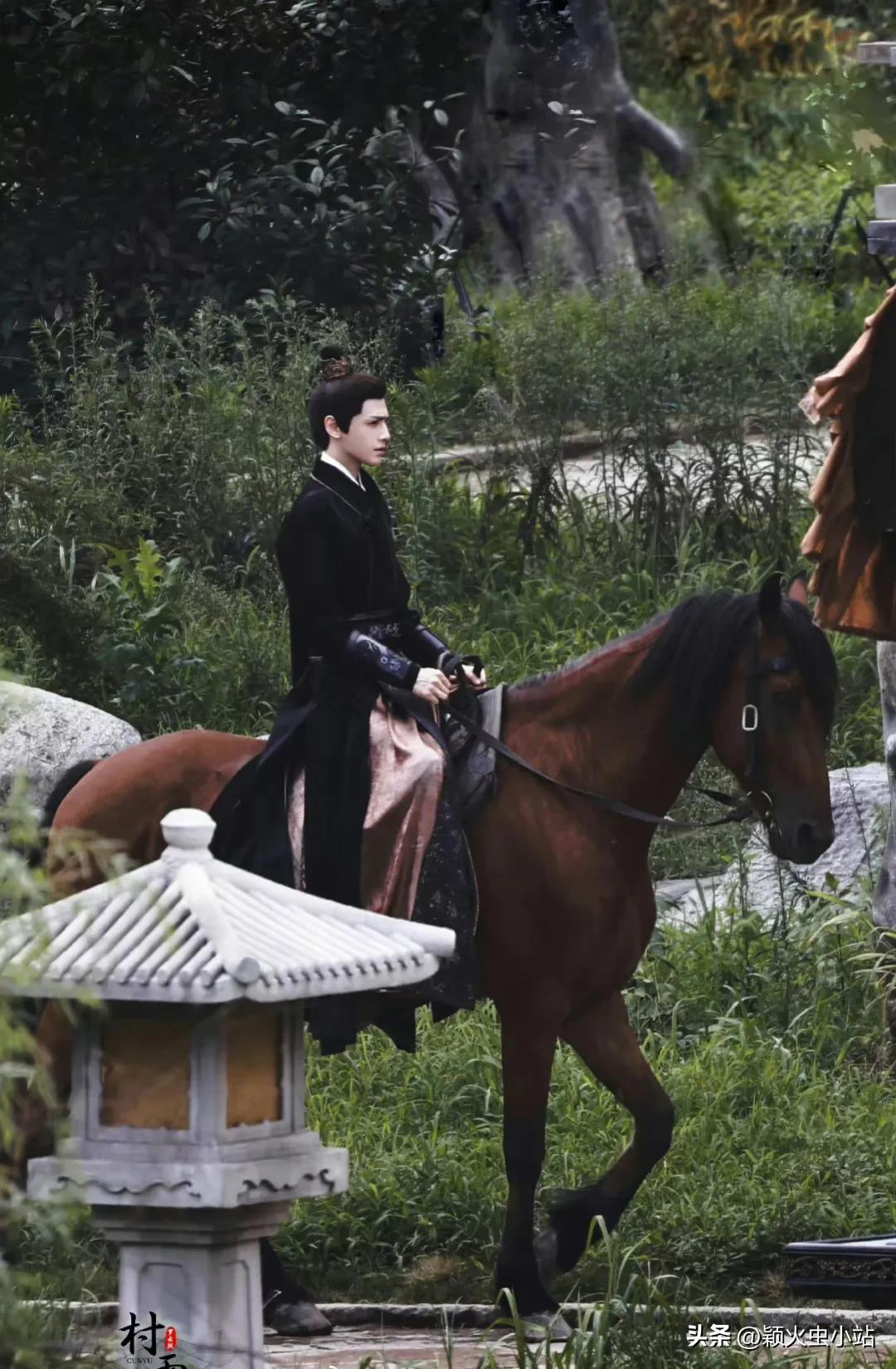 8.10 Entertainment: Zhao Liying, Luo Yunxi, Ren Jialun, Tan Songyun ...