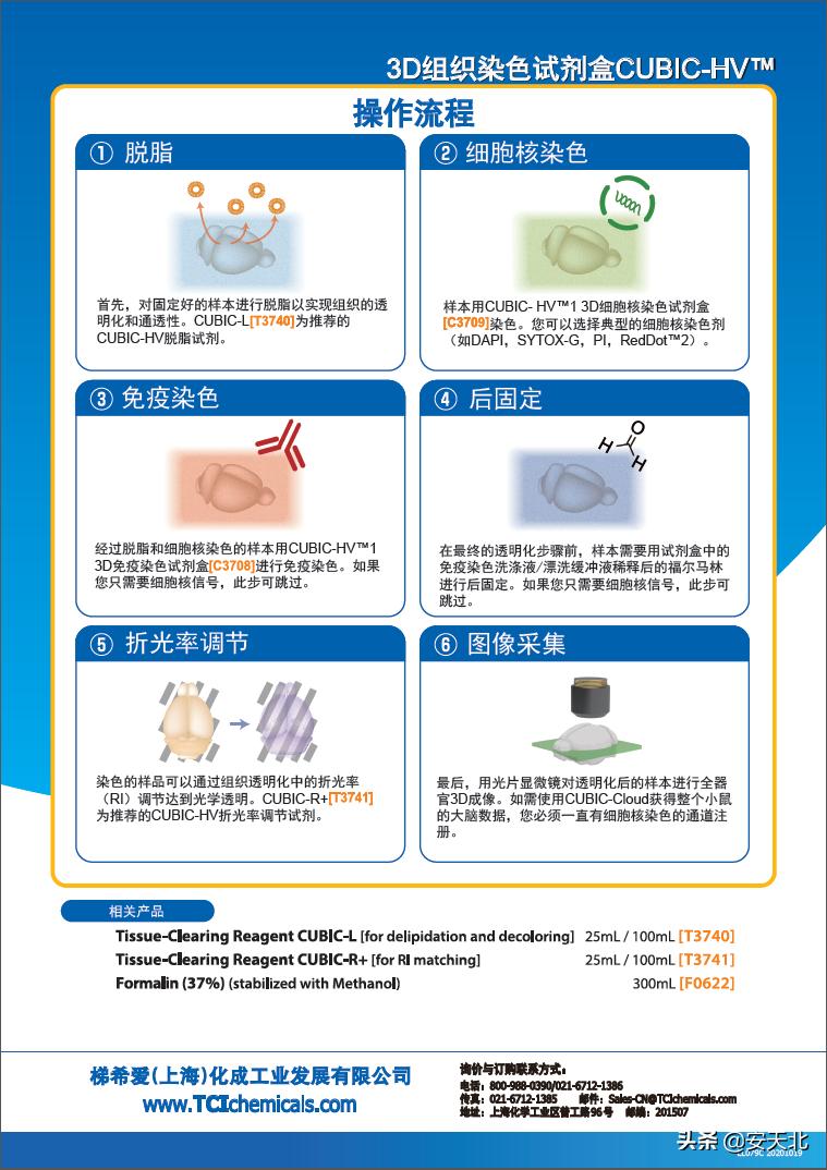 Animal tissue clearing reagent: CUBIC - iNEWS