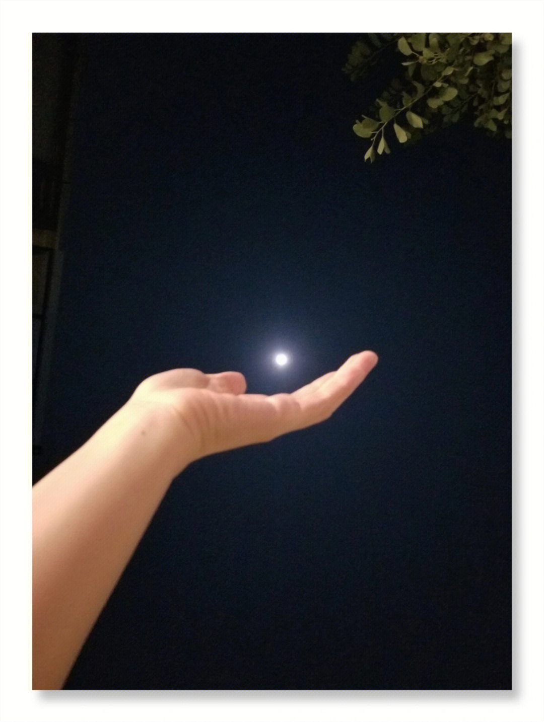 The most beautiful circle of friends on WeChat - iNEWS