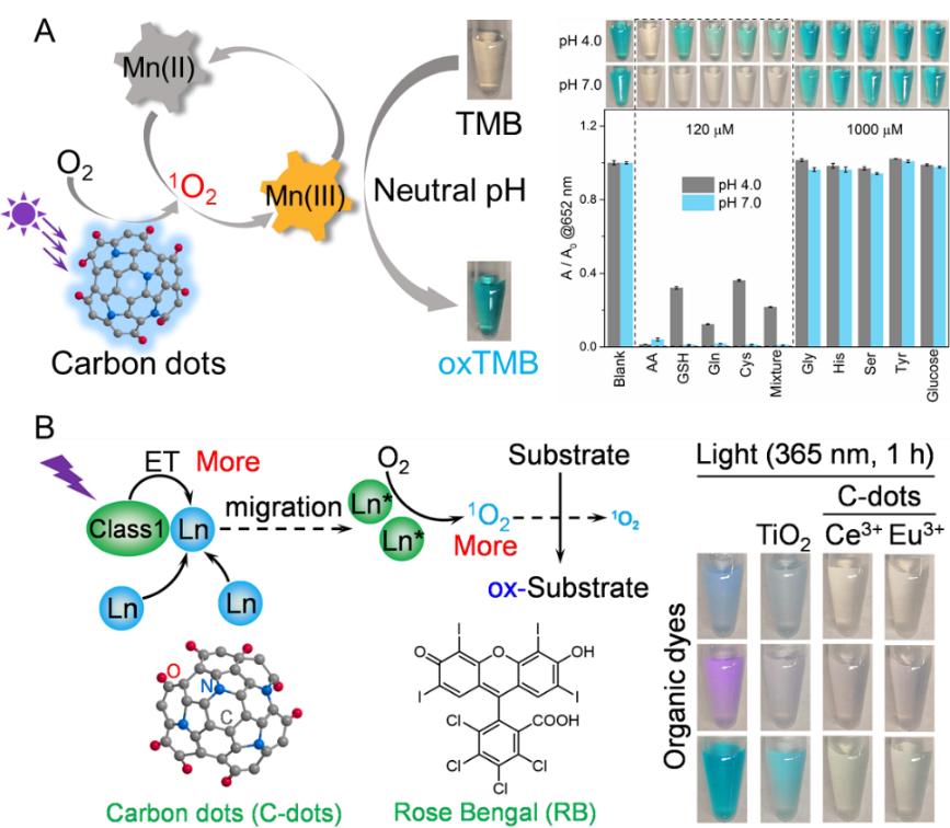 The progress of the work of Professor Liu Juewen's research group in ...
