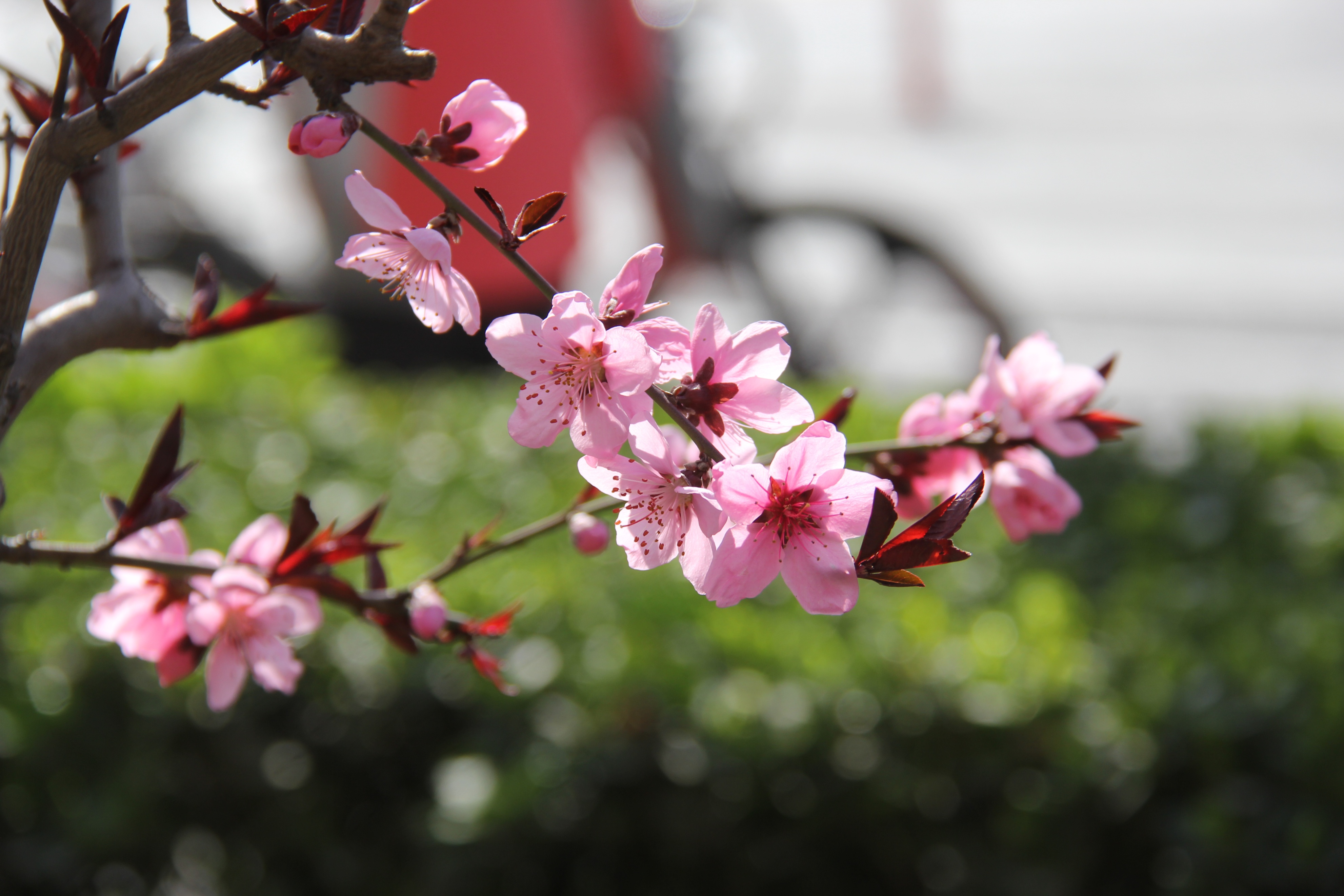 Night at Tiananmen Square (Ten Poems) by Zhang Xingui - iMedia