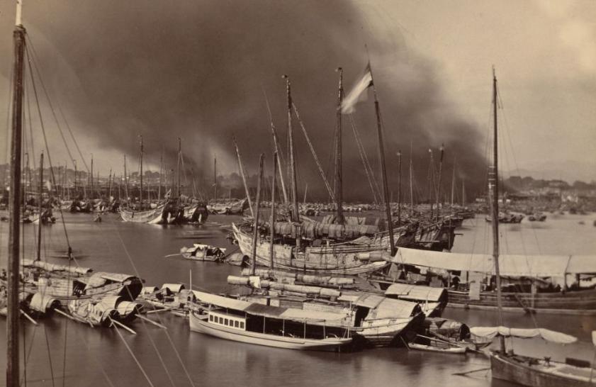 The Brazilian Green Ghost, Mysterious Creatures of the Amazon ...