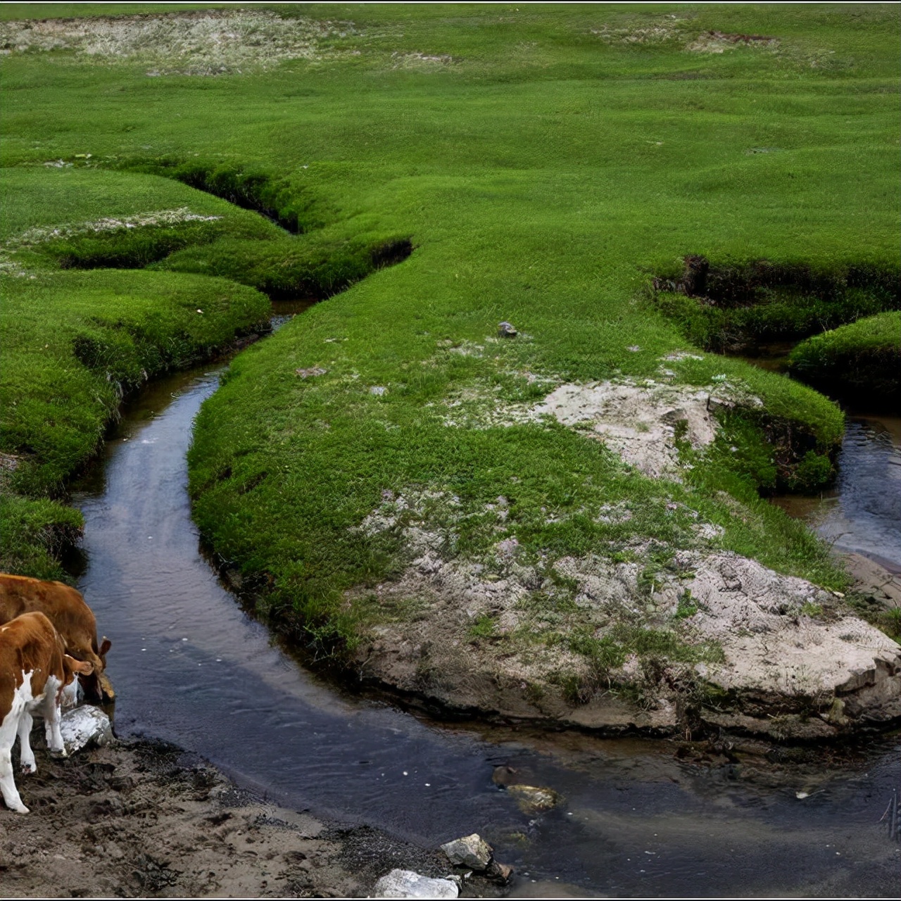 A world-class pocket river, with a depth of 20 cm and a narrowest point ...