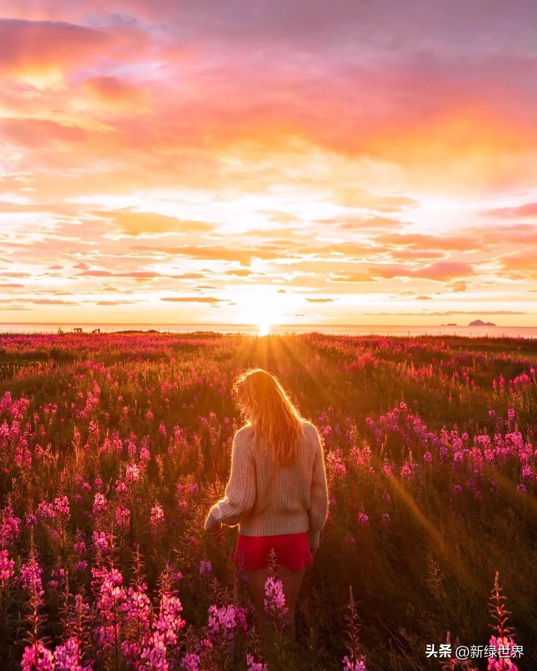 sunset! Infinitely good, but also infinitely beautiful! - iNEWS