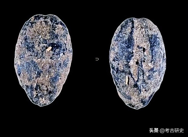 Yu Jianjun and Zhang Miao: Four or five thousand years ago, millet and wheat met in Xinjiang - iNEWS