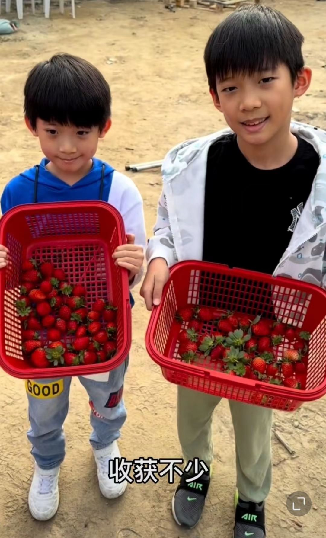 71-year-old Sammo Hung went with his family to pick strawberries and ...