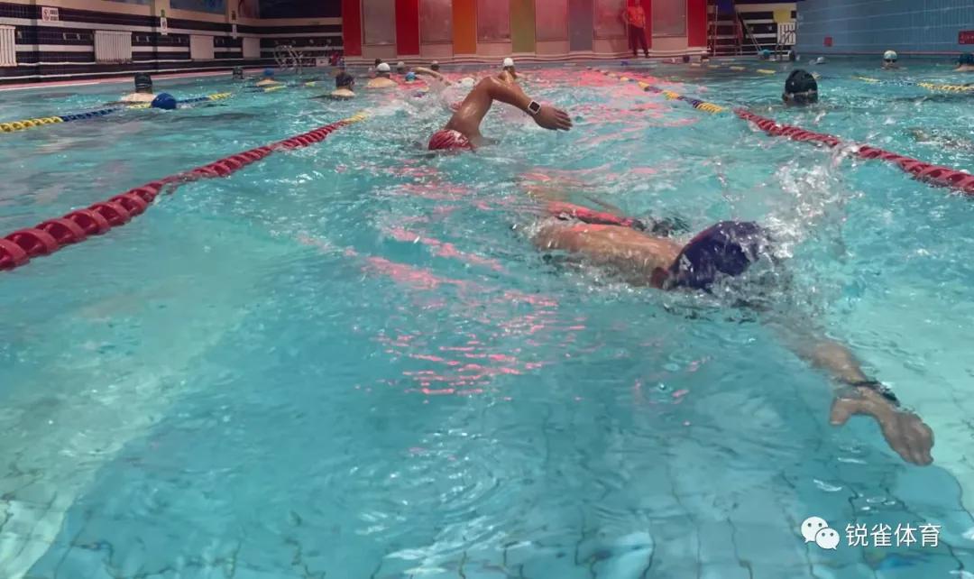 The fast and slow way of swimming - iNEWS