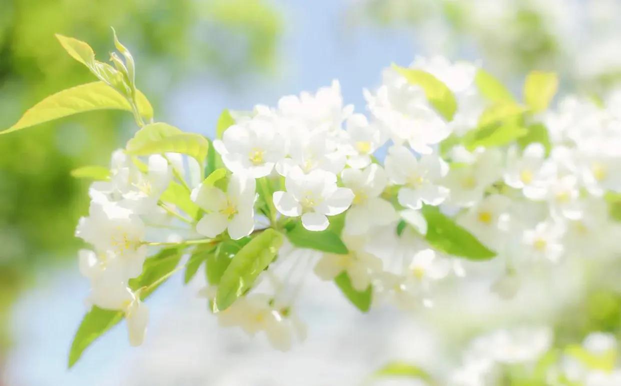 You are the April sky in the world - Lin Huiyin - iNEWS