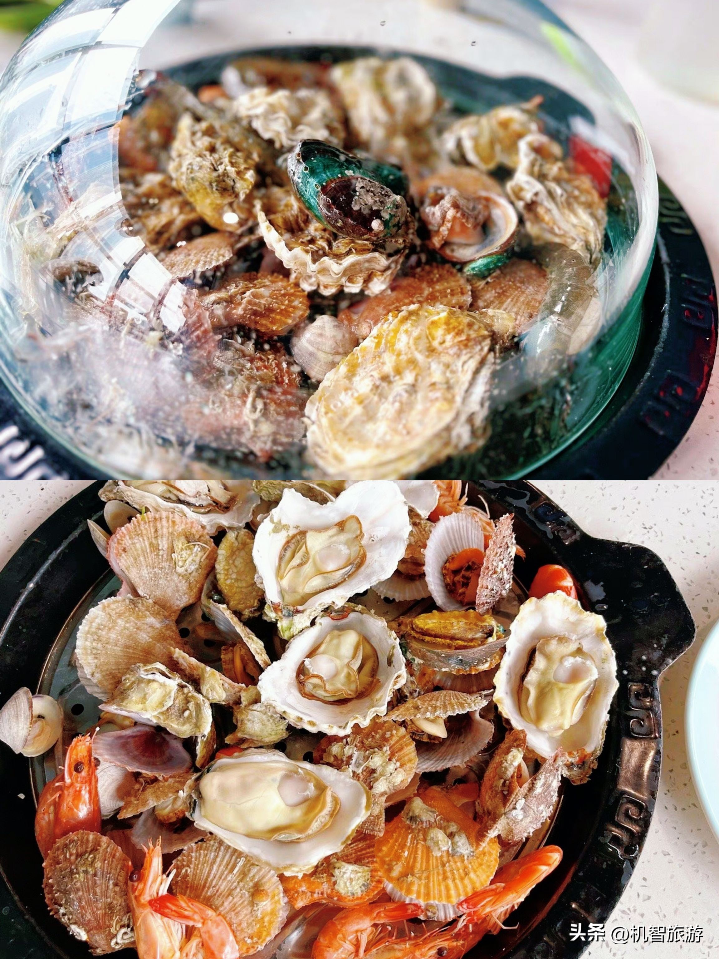 Rizhao food travel guide, Rizhao food summary - iNEWS