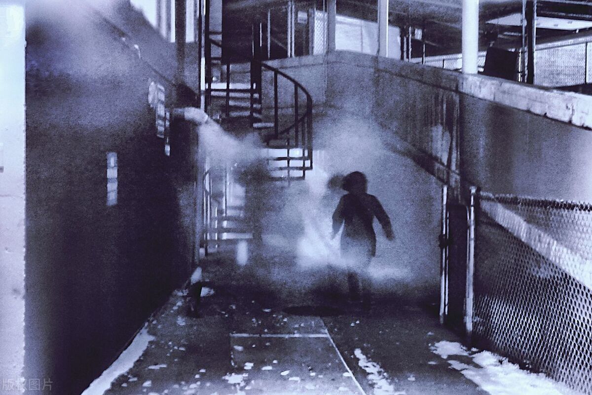 The ideal "cow", the radar can scan the soul - iMedia