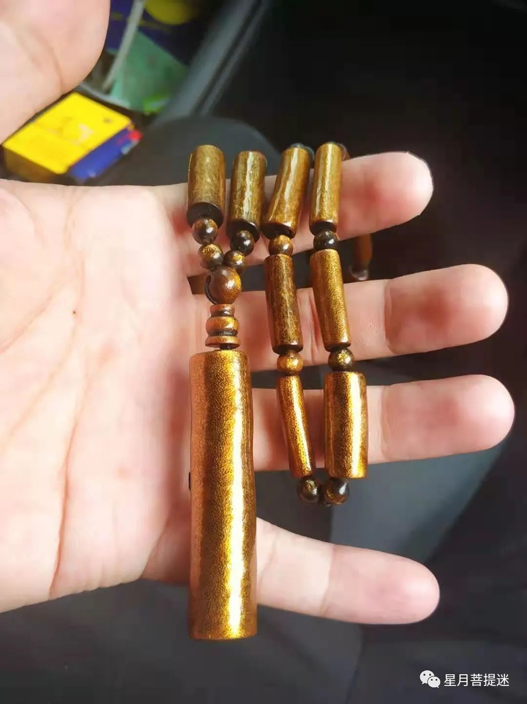 What is sea willow?What is the reef-building coral "sea vine"? - iNEWS