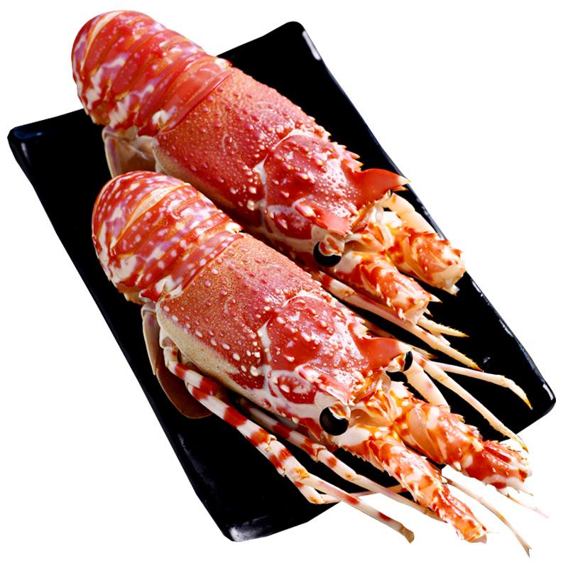 A Linyi man accidentally caught a rose lobster and was stopped on the ...