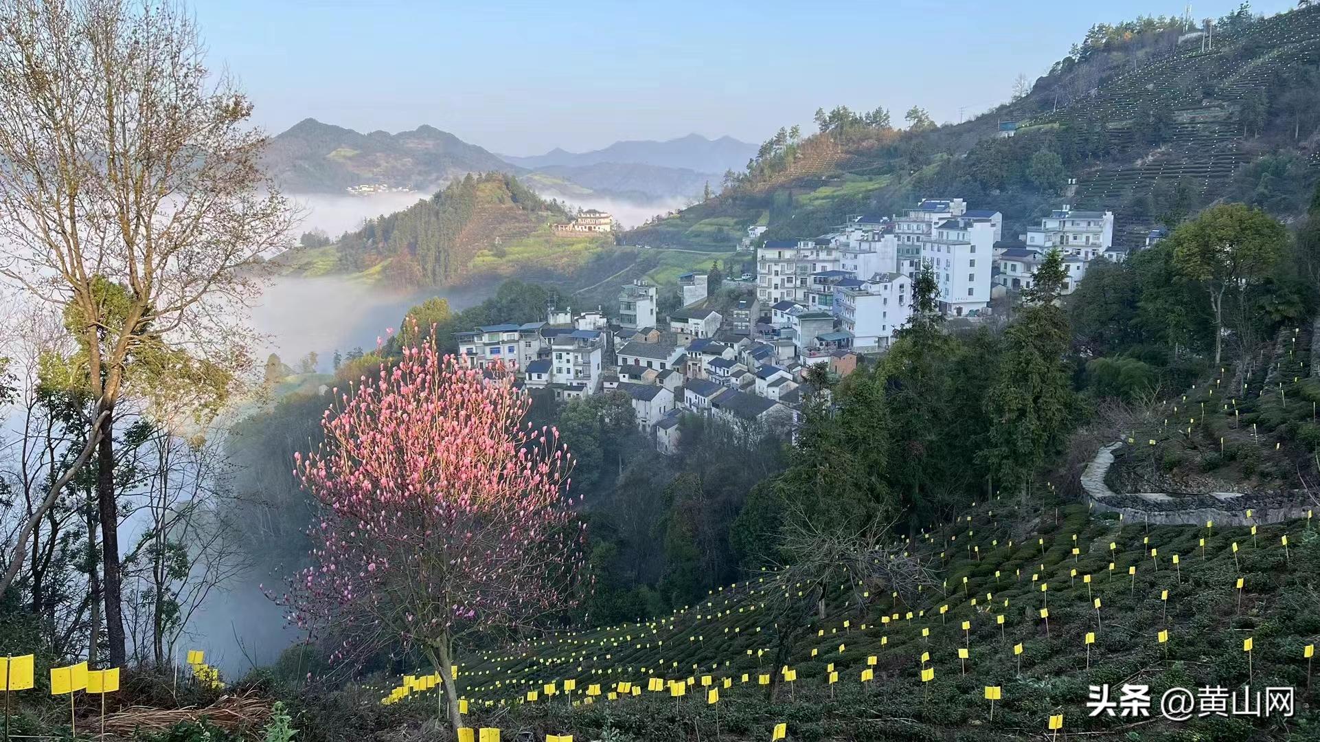 Flying through Huizhou 161: For Shitan's splendid spring - iMedia