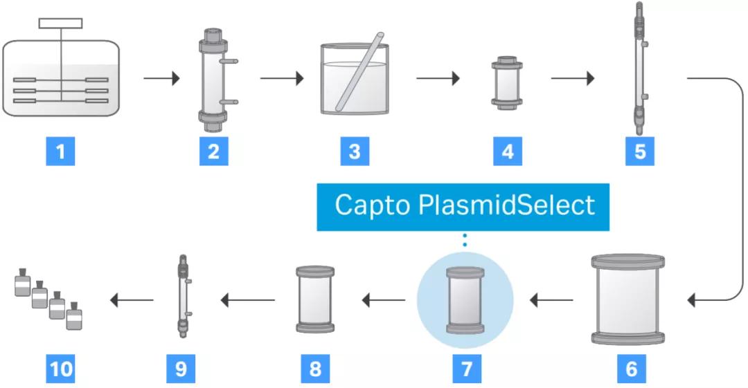 Plasmid extraction and purification - iNEWS