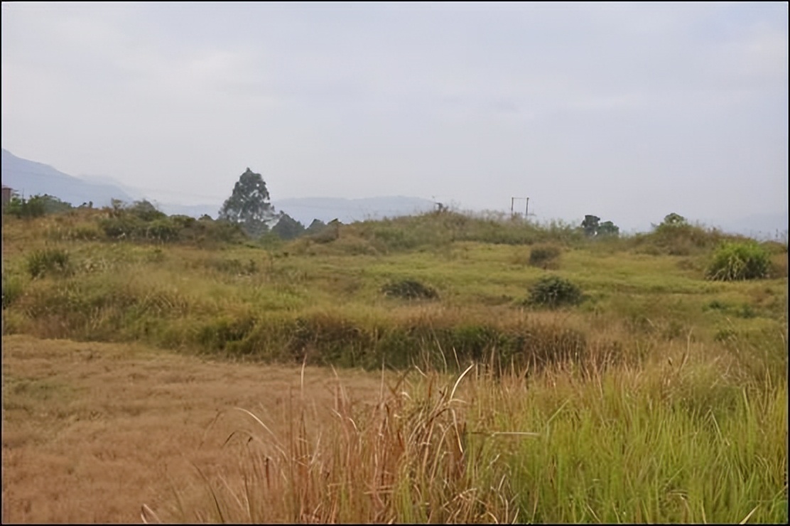 Visiting a huge mound of sealed earth in the field, a closer look ...
