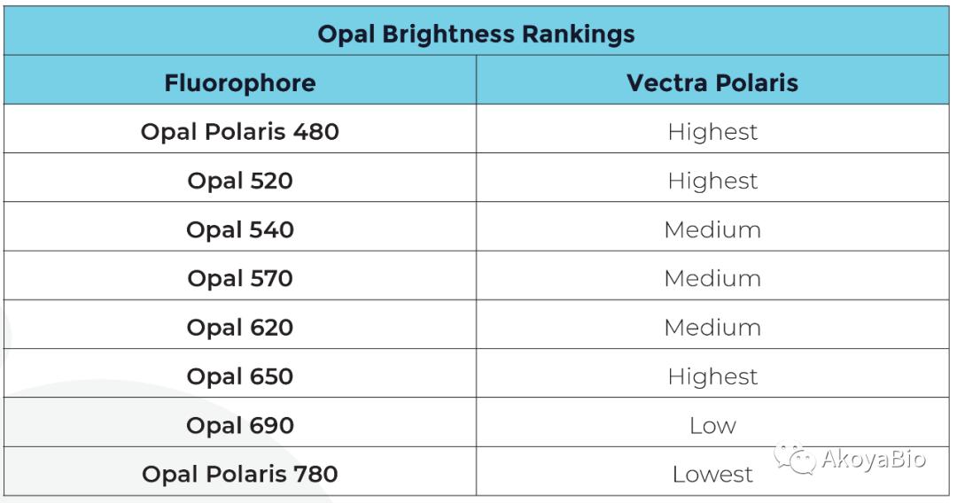 Phenoptics multicolor immunofluorescence establishes a stable and ...