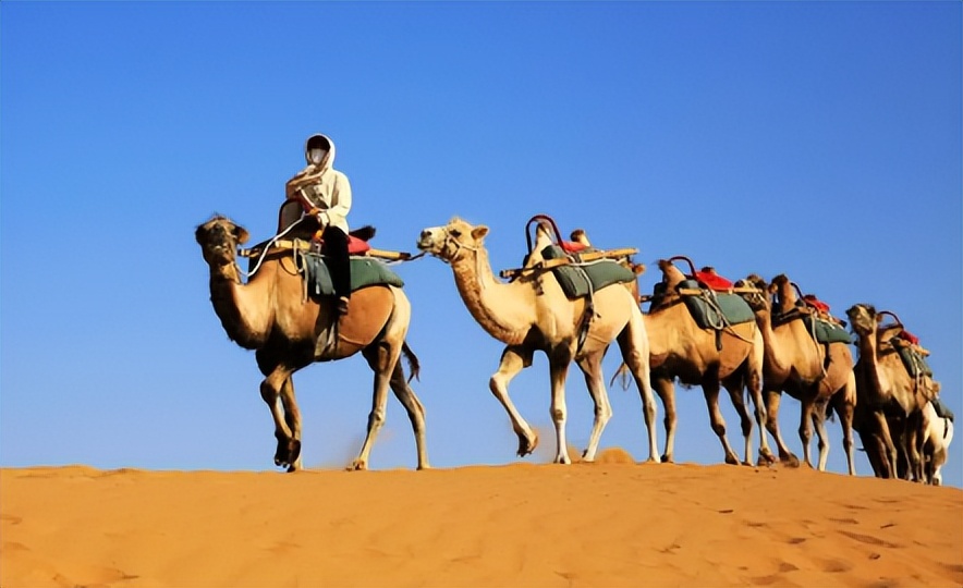 Lijiang camel bell, a token of fire in "One Meter of Sunshine" - iNEWS