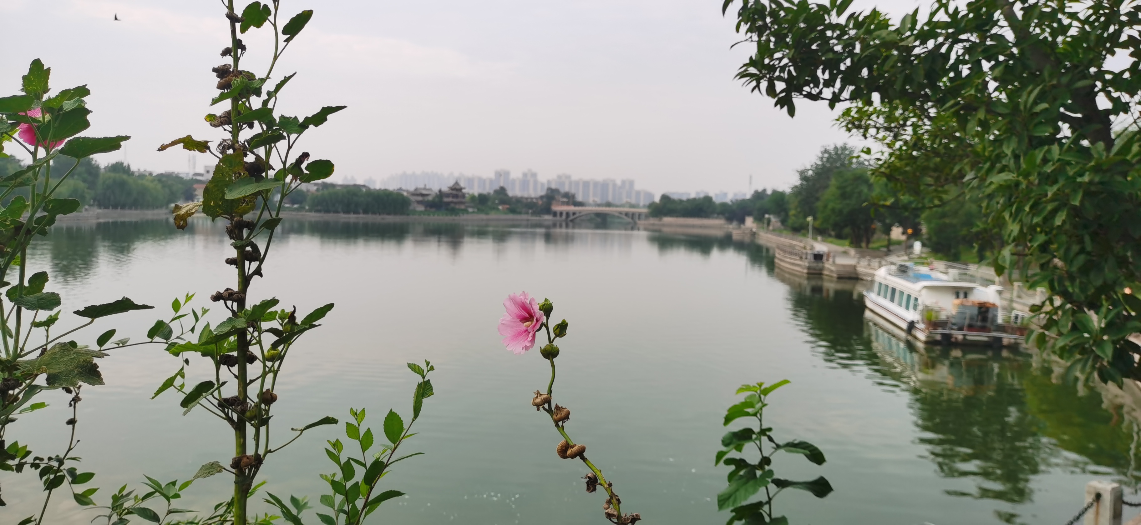 At the beginning of autumn, the scenery on both sides of the Dongsheng ...