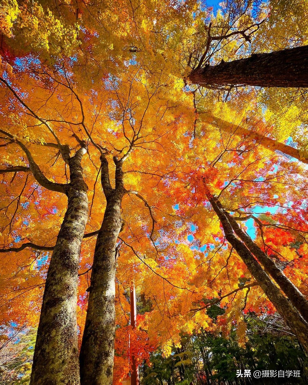 7 landscape photography formulas for professional photographers ...