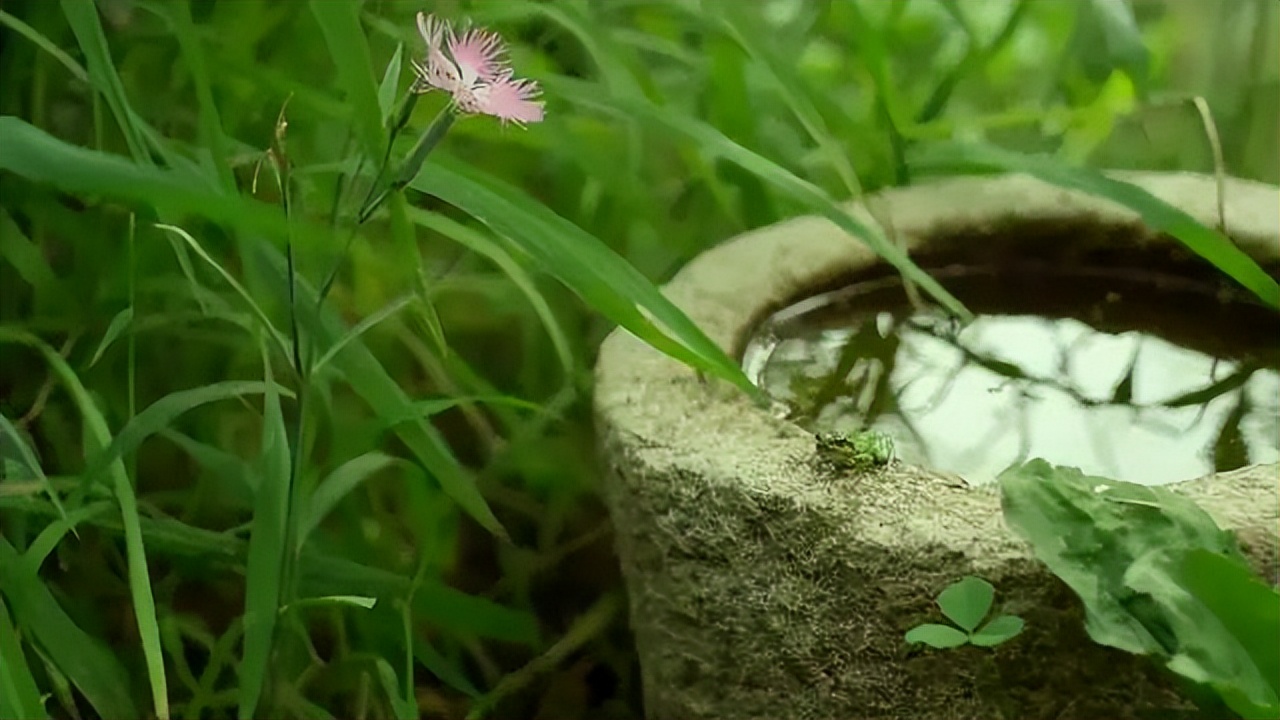 Japanese Movie "Little Forest" Summer and Autumn Chapter + Winter and ...